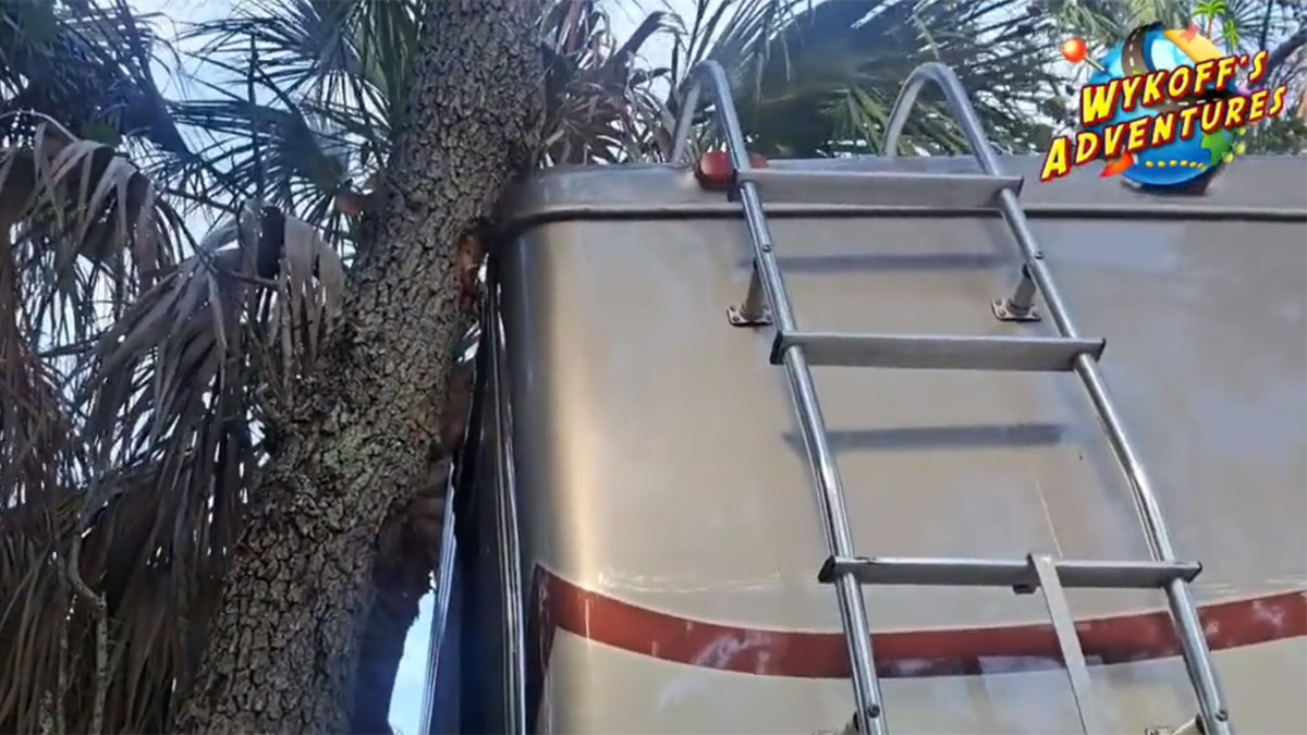 Class A Motorhome Takes on a Tree! Plus, Moving our RV Again - Wykoffs ...